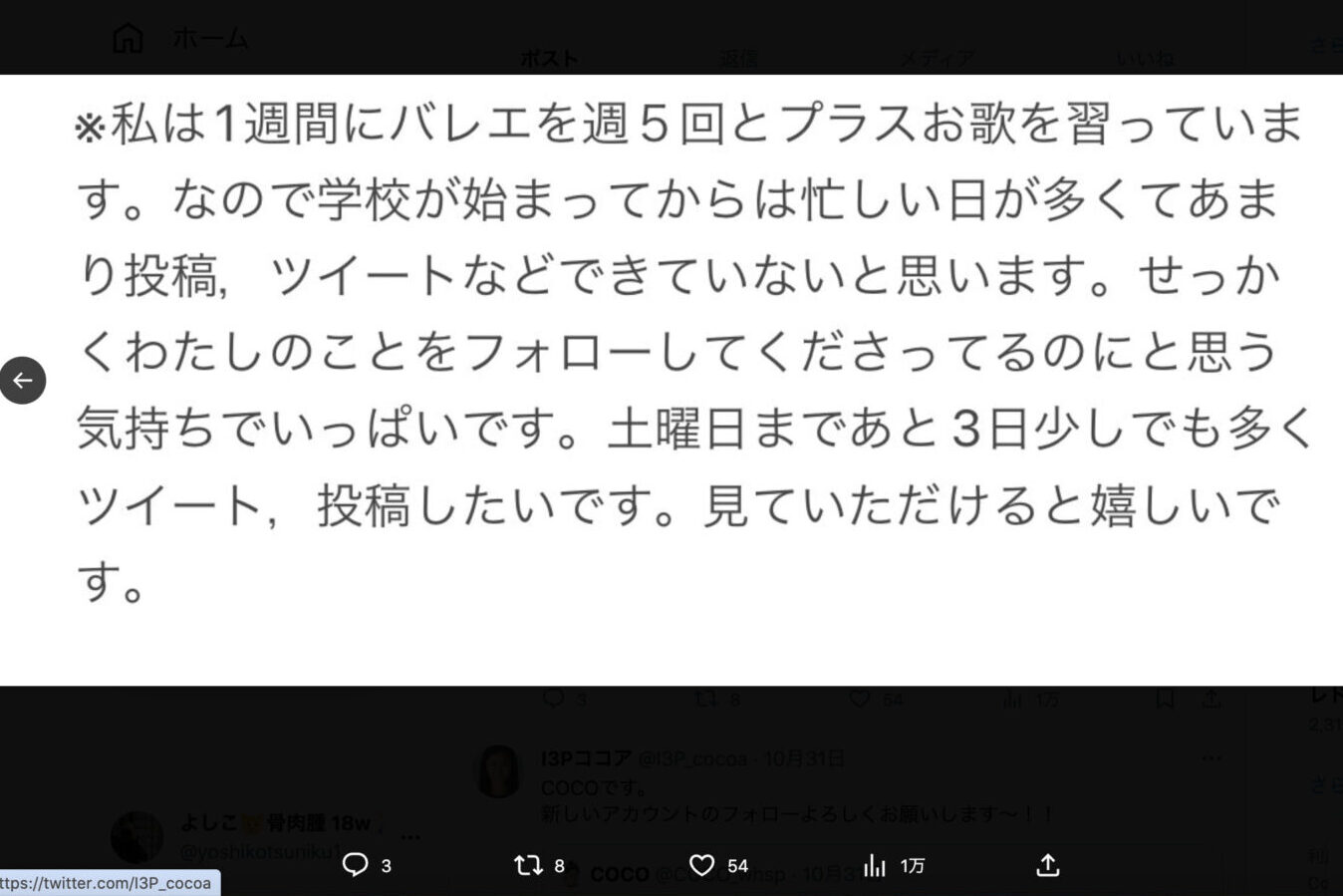 WHITE SCORPIONメンバー[COCO]のプロフィール徹底解説!宝塚音楽学校の最終試験まで残った実力者!